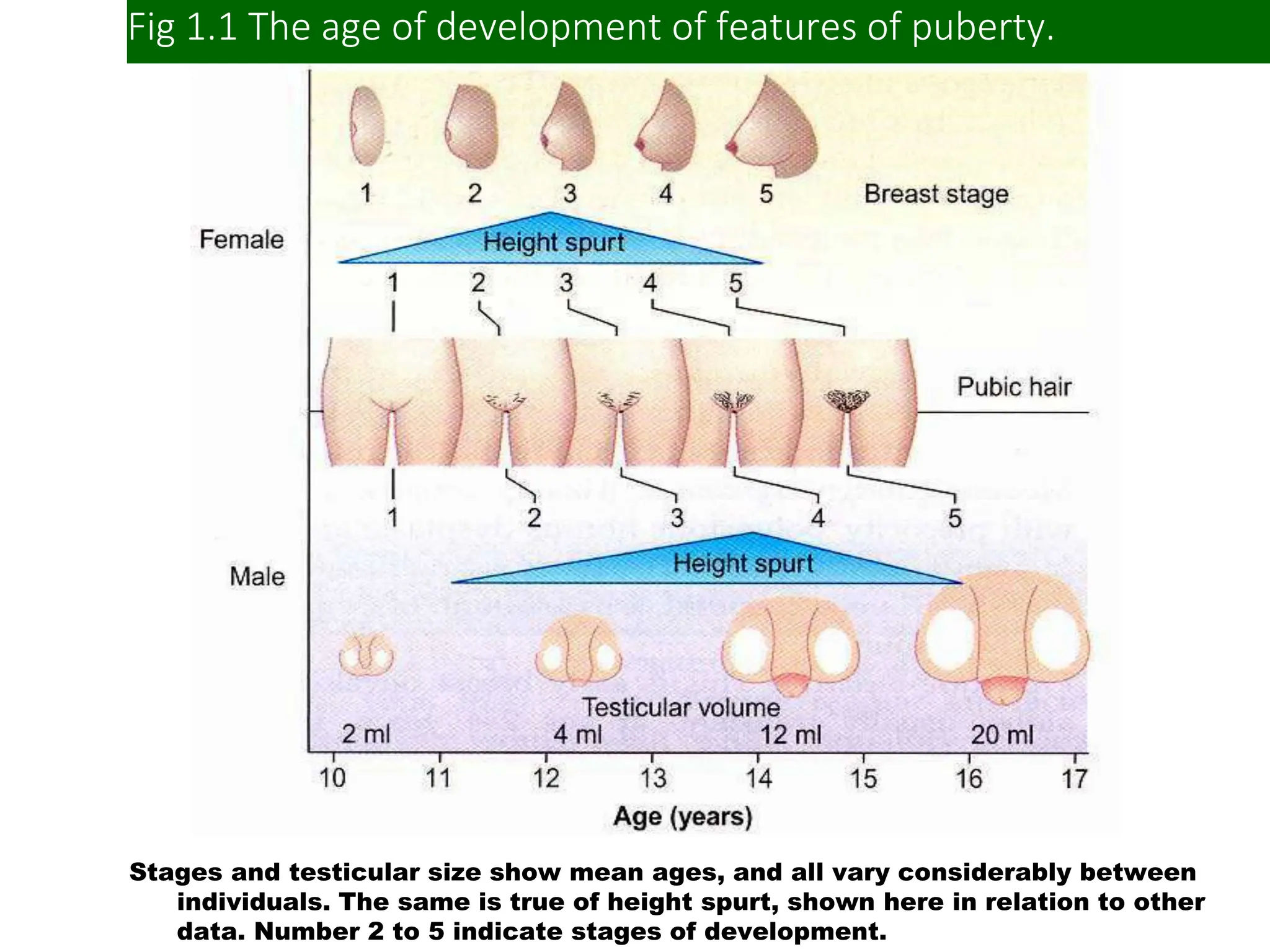 PUBERTY process Normal and Abnormal.pptx