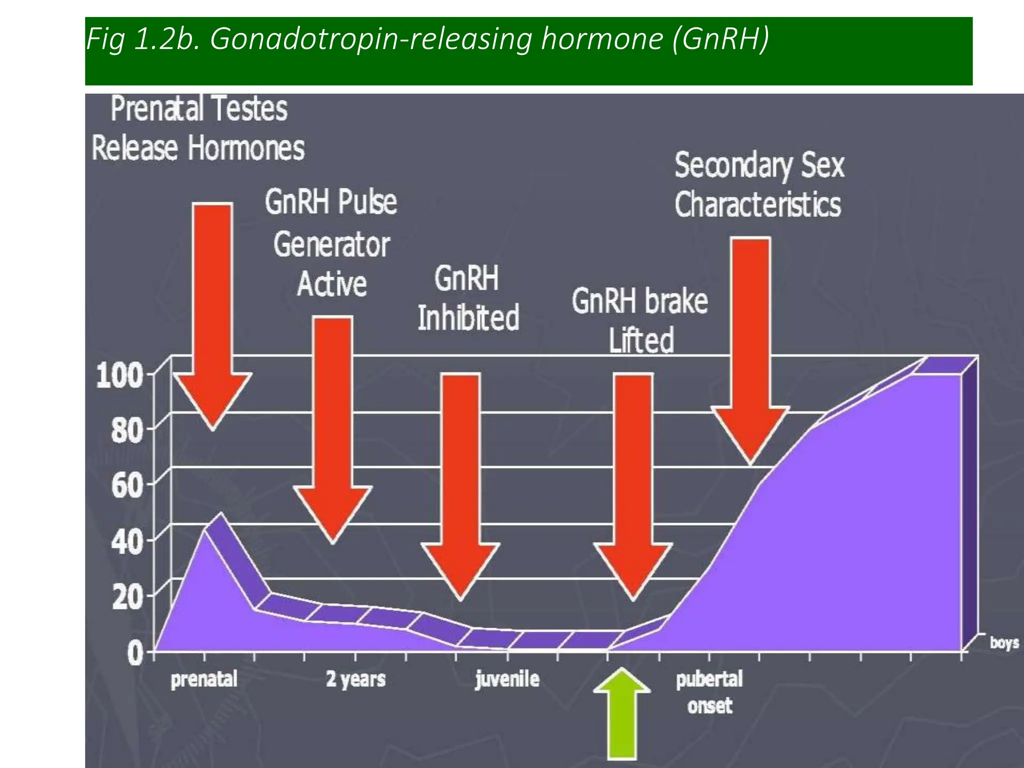 PUBERTY process Normal and Abnormal.pptx