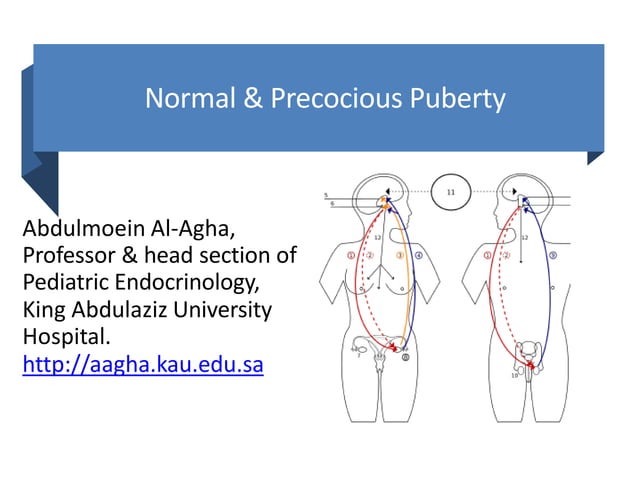 Puberty normal and precocious | PDF