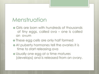 Puberty and Changes in the Body PowerPoint | PPTX