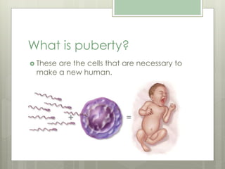 pubertypresentation-150614044129-lva1-app6892.pdf
