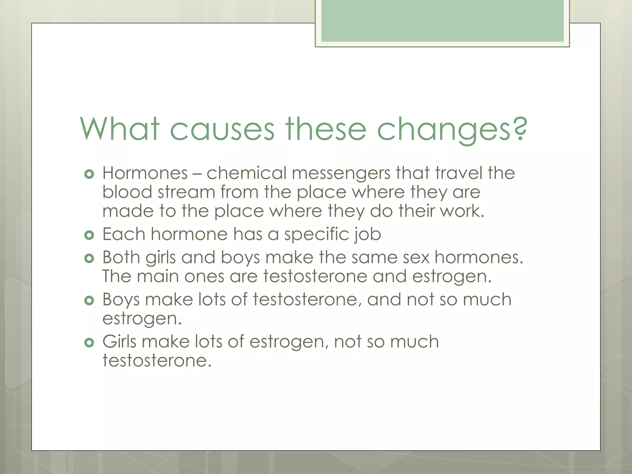 Puberty presentation | PPTX