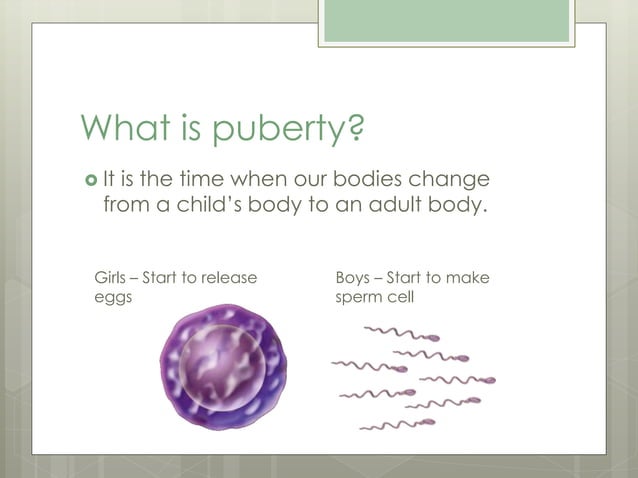 Puberty presentation | PPTX