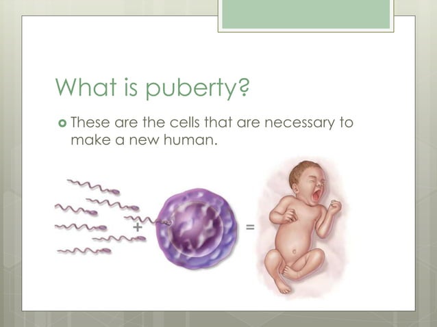 Puberty presentation | PPTX