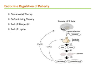 Puberty & Sexual maturity gynaecologist .pdf
