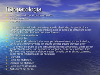 Pubitis | PPT