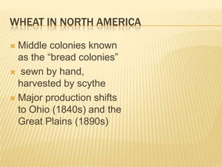 Public history of wheat farming | PPT