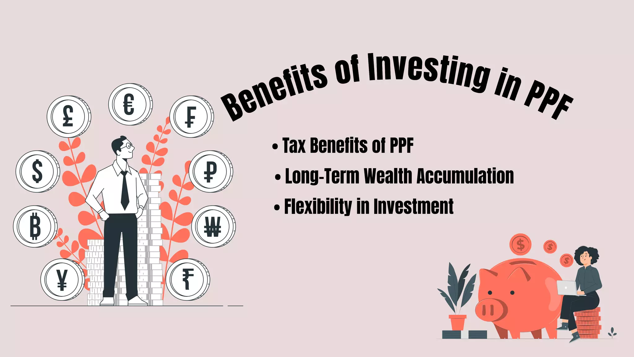 What is a Public Provident Fund (PPF)? | PDF