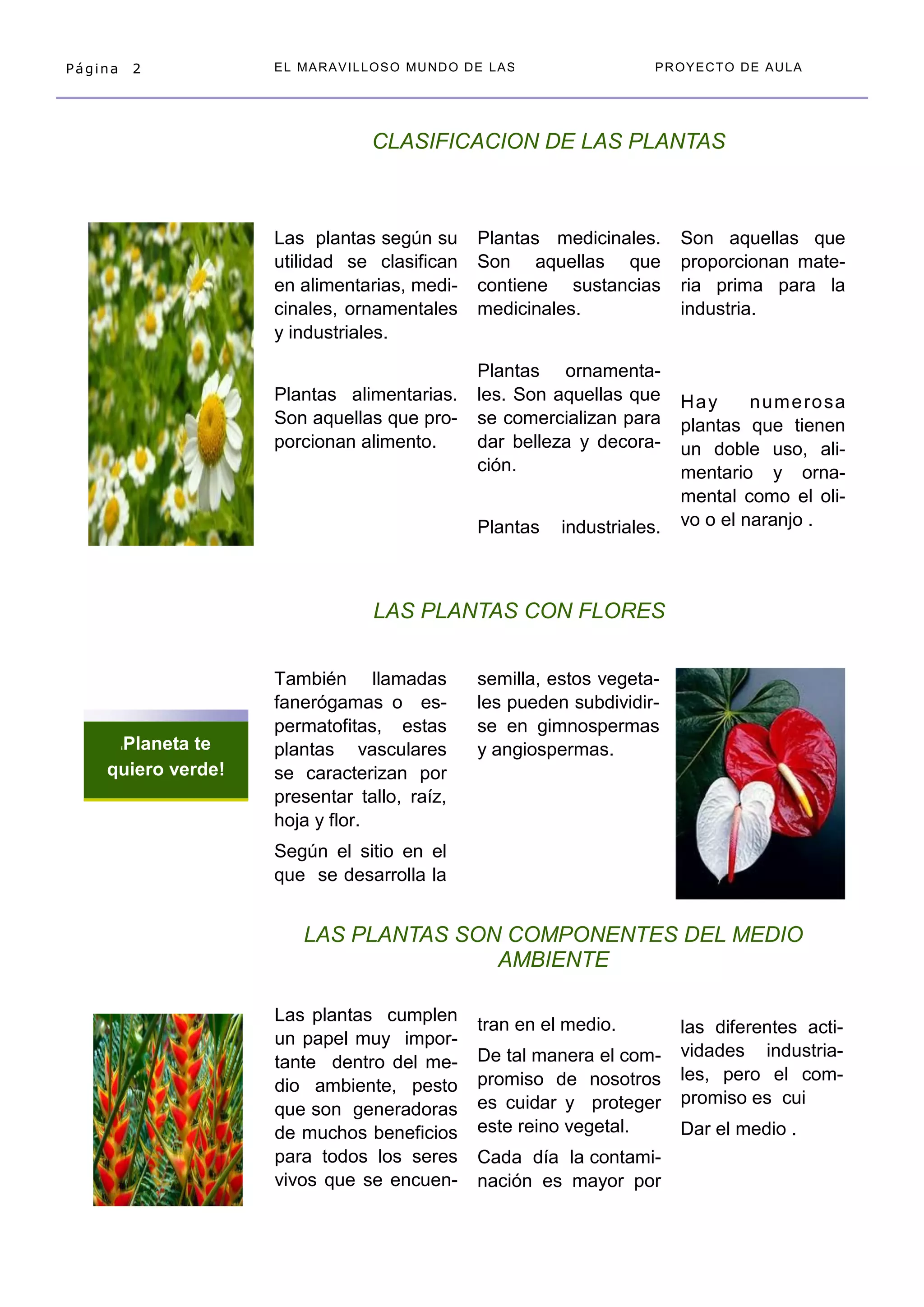 Publicación1 las plantas | PDF