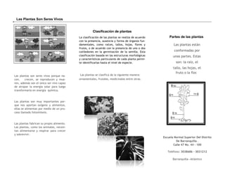 folleto de las plantas | PDF