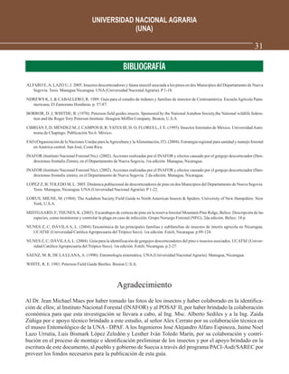 Guía de identificación de los principales insectos coLEOPTEROS | PDF
