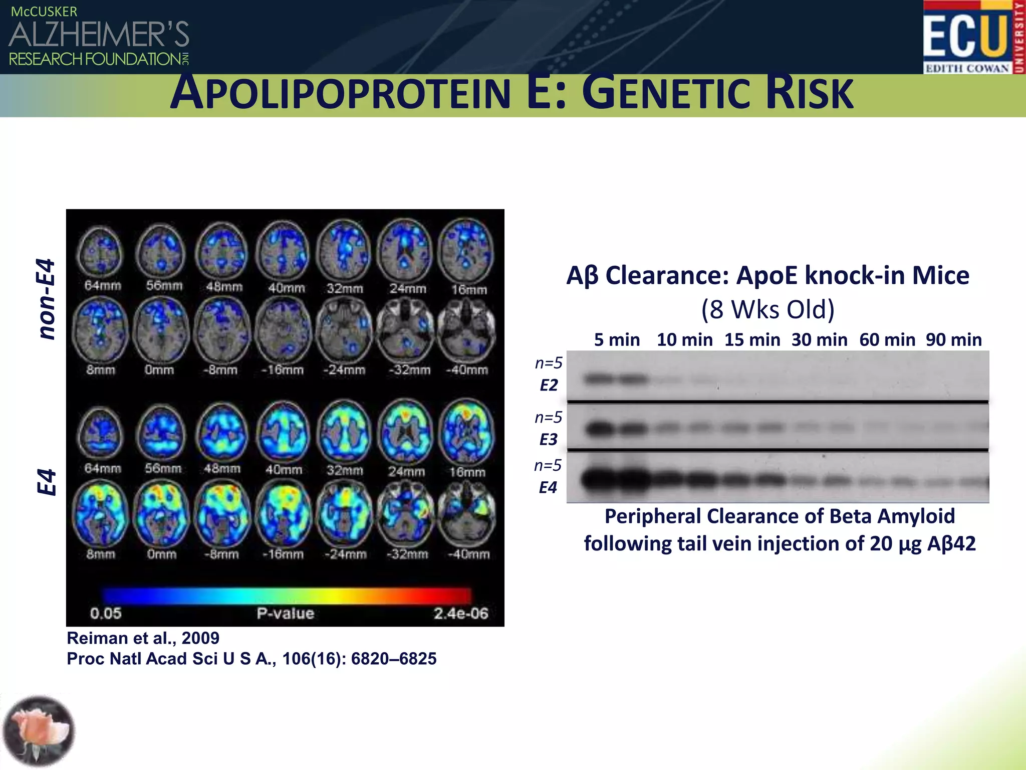 Alzheimer's disease: Genetic Aspects | PPTX