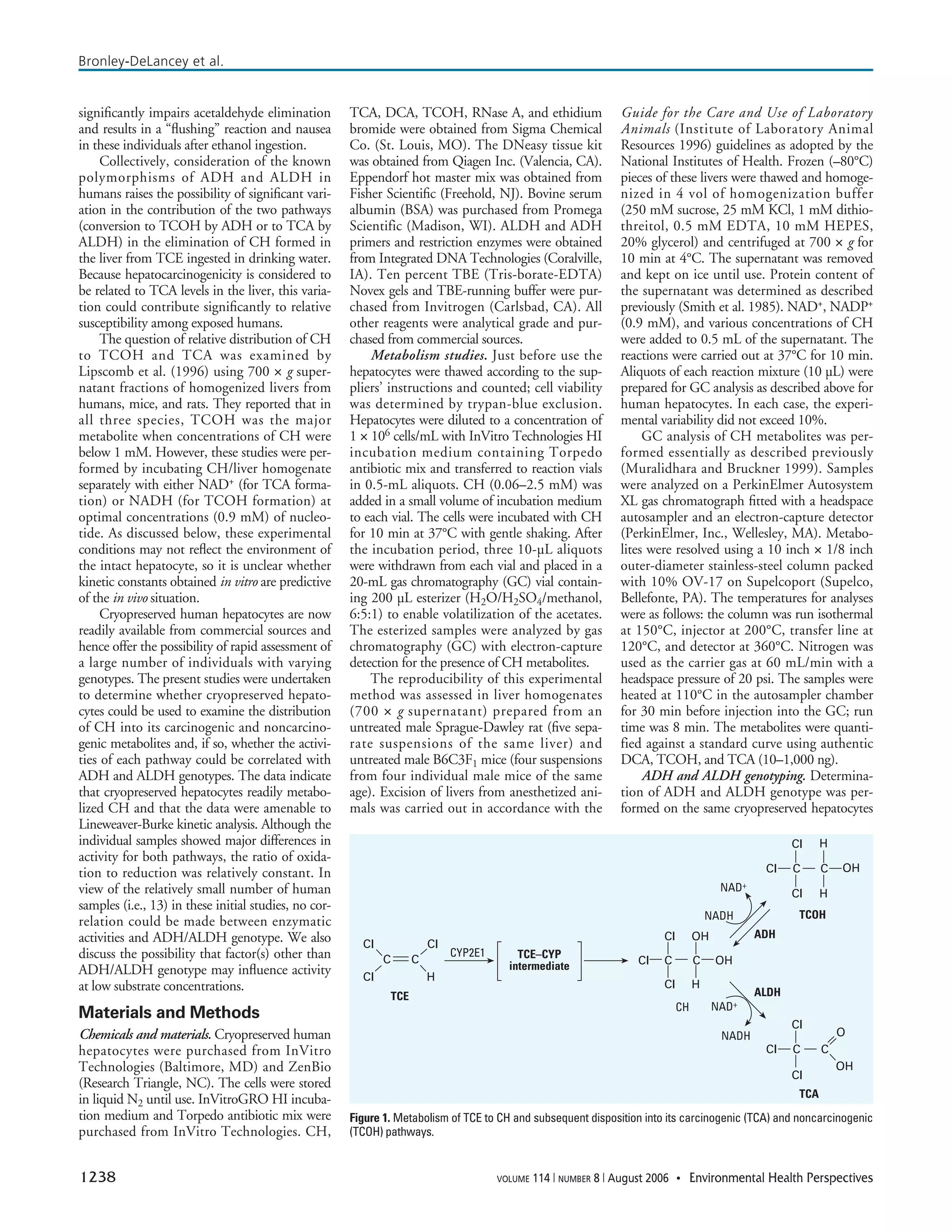 Environmental Health Perspectives | PDF | Endocrine and Metabolic ...