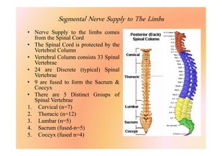 publication_12_13843_1644.pdf