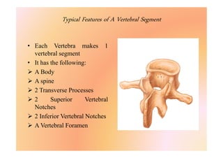 publication_12_13843_1644.pdf