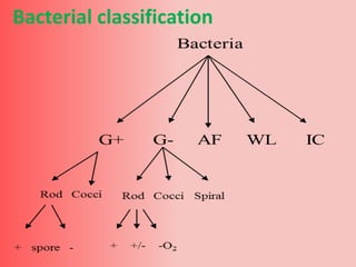 publication_5_12163_858.pdf