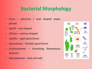 publication_5_12163_858.pdf