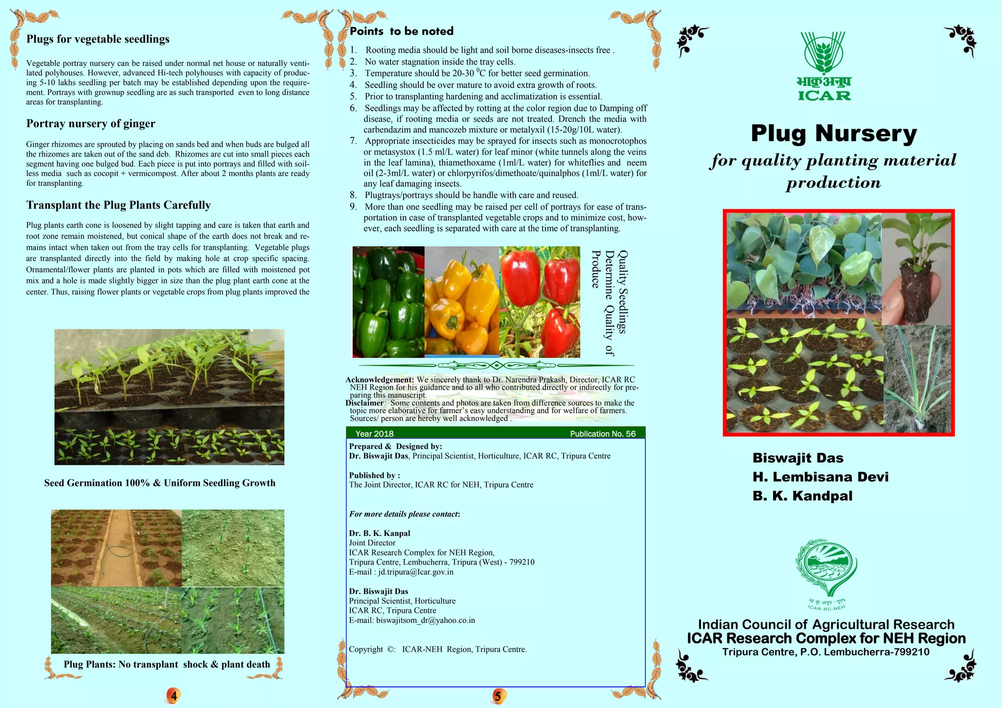 Publication_Plug Nursery.pdf