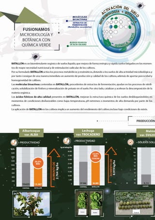 Batallón - Bioestimulante Orgánico de Suelos | Kimitec Group | PDF