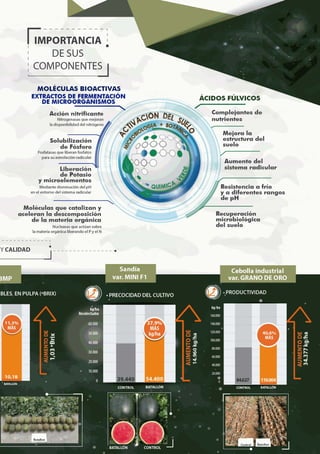 Batallón - Bioestimulante Orgánico de Suelos | Kimitec Group | PDF