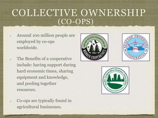 Public and Collective Business Ownership | PPTX
