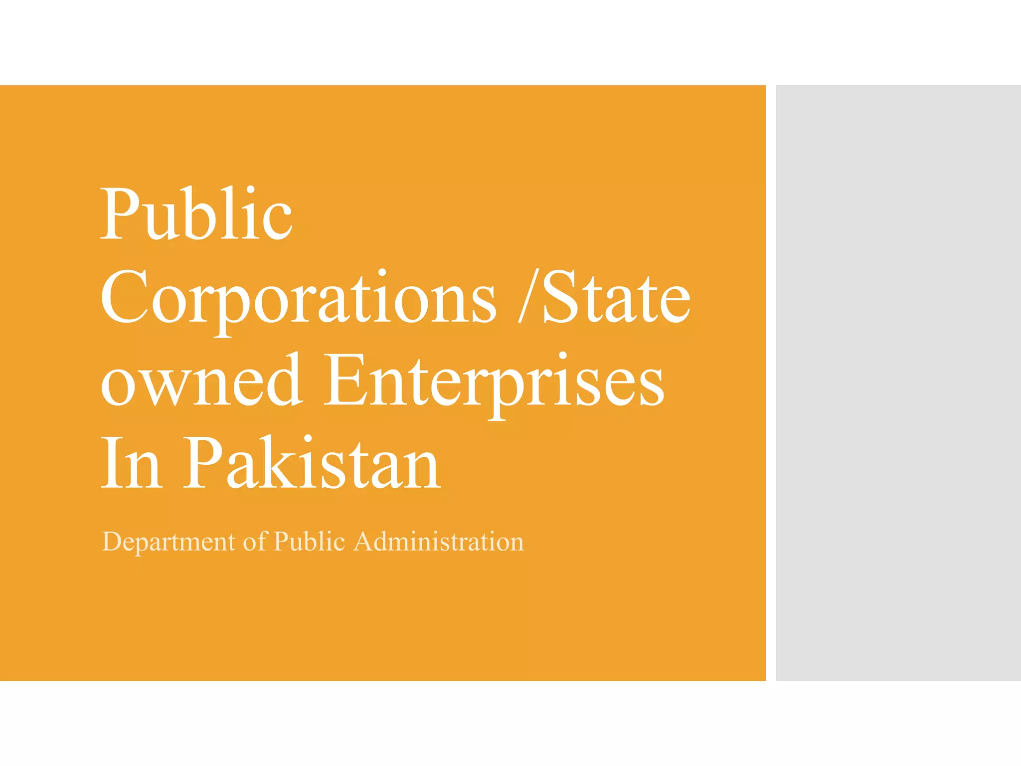 public corporations.pdf