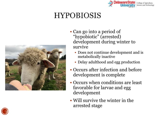 Barber Pole Worm | PPTX | Infectious Diseases | Diseases and Conditions