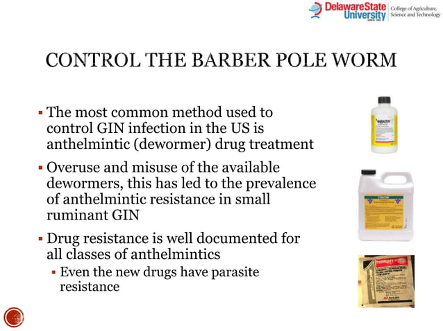 Barber Pole Worm | PPTX | Infectious Diseases | Diseases and Conditions