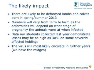 Schmallenberg presentation | PPT | Infectious Diseases | Diseases and ...