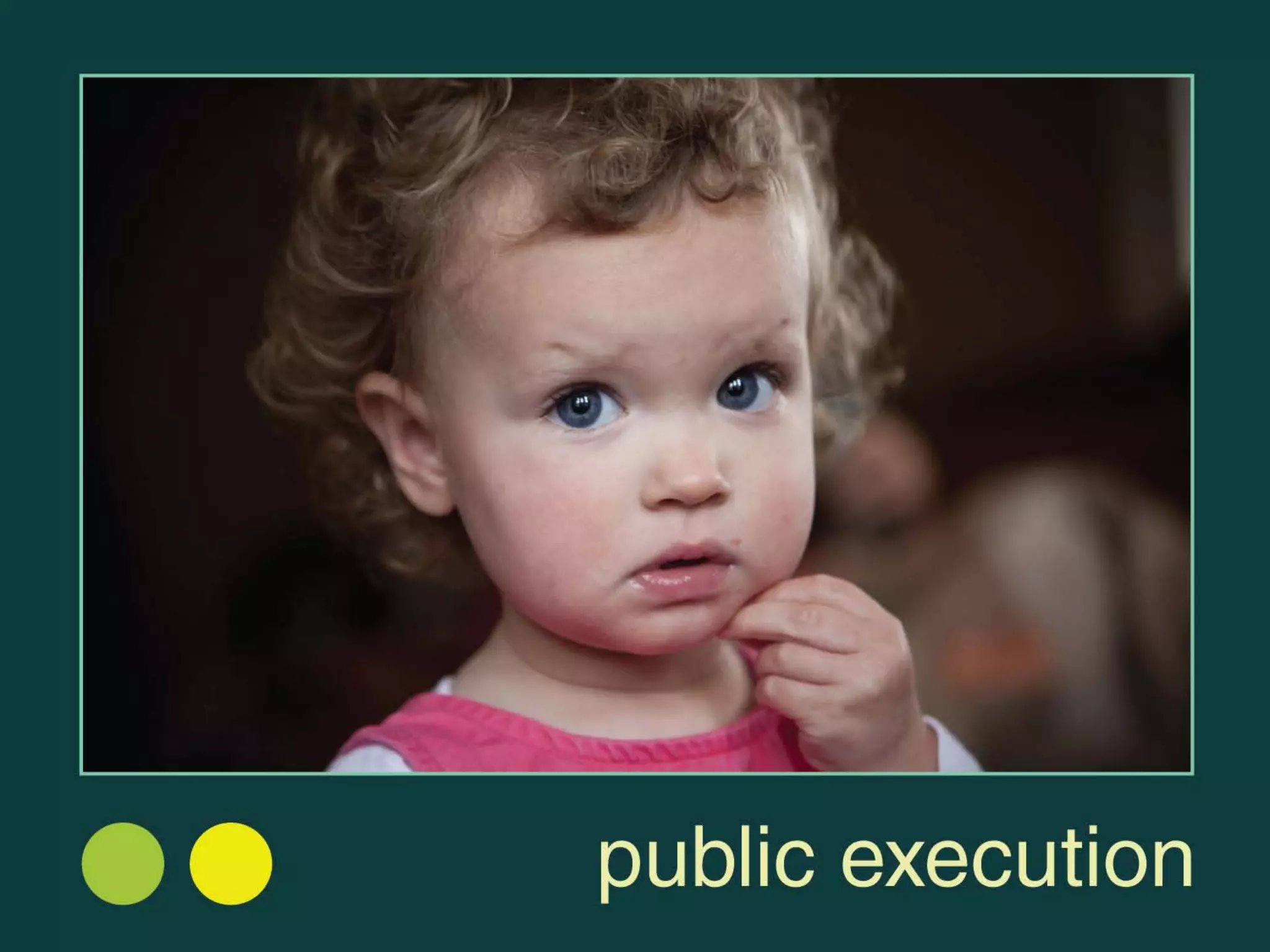 Public Execution | PDF