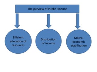 Public finance | PPTX