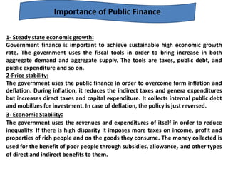 Public finance | PPTX