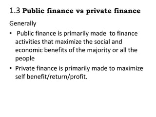 Public Finance slides.pptx