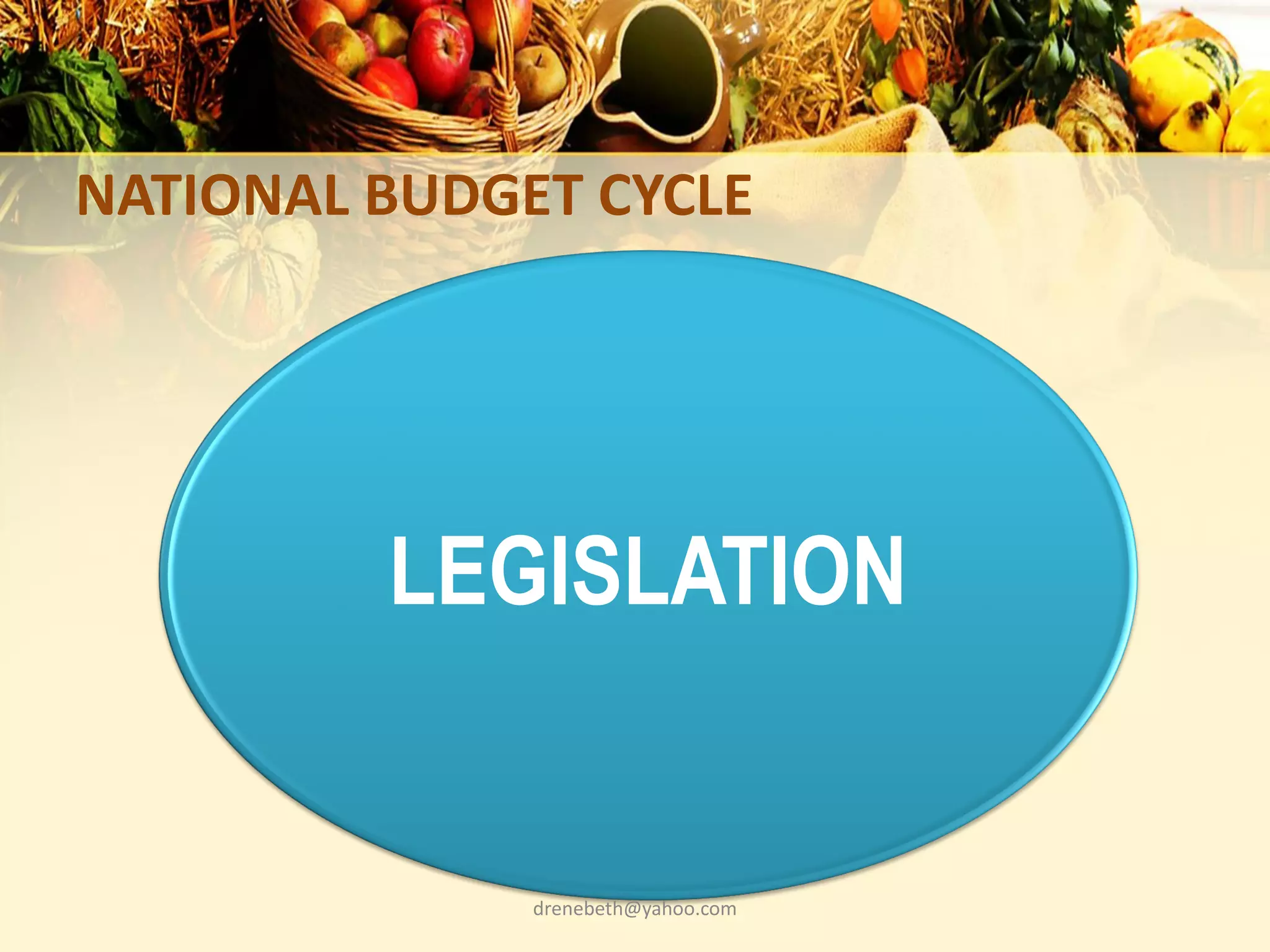 Public fiscal administration lect 1 | PDF