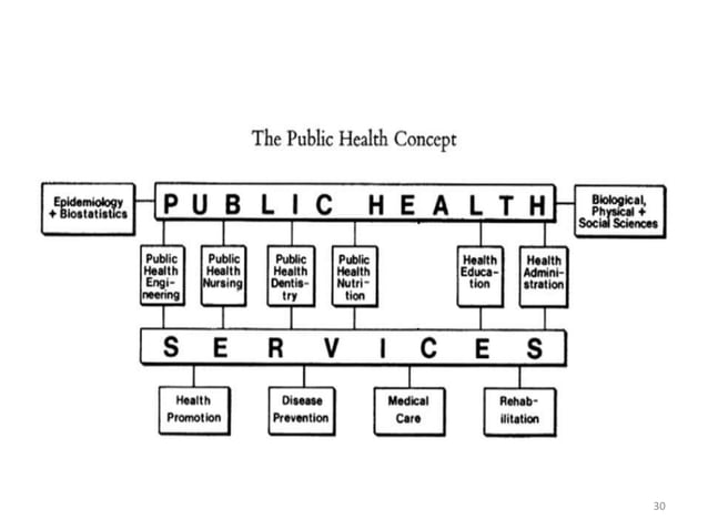 Public Health - Introduction | PPTX | Healthcare Industry | Industries