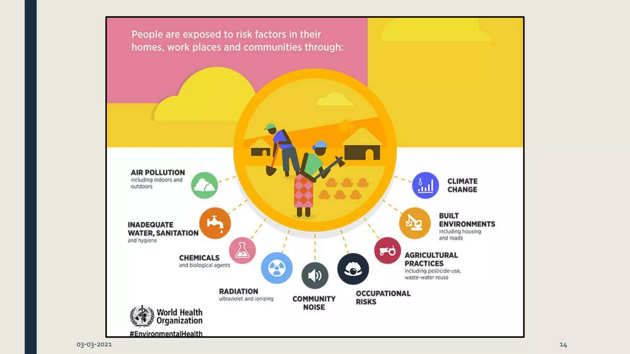 Public health disciplines | PPTX