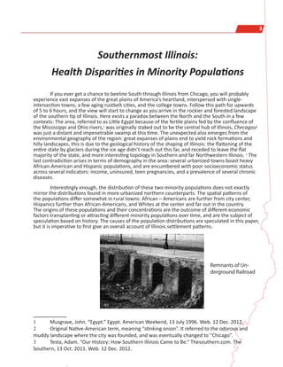 Public Health Disparities in Southern Illinois | PDF