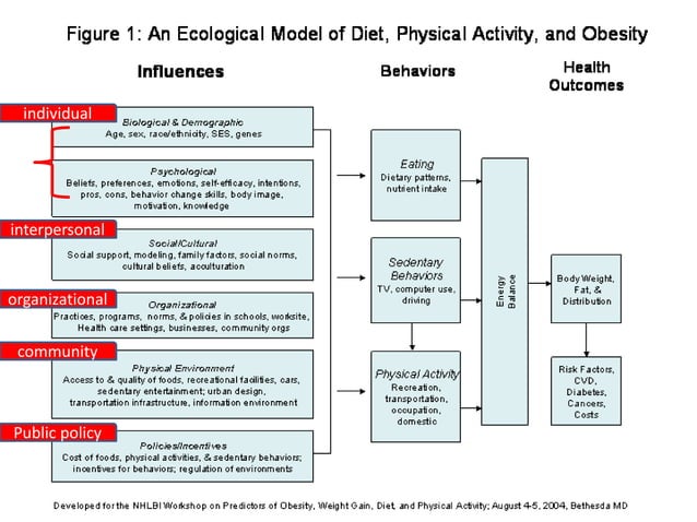 Public health model | PPTX