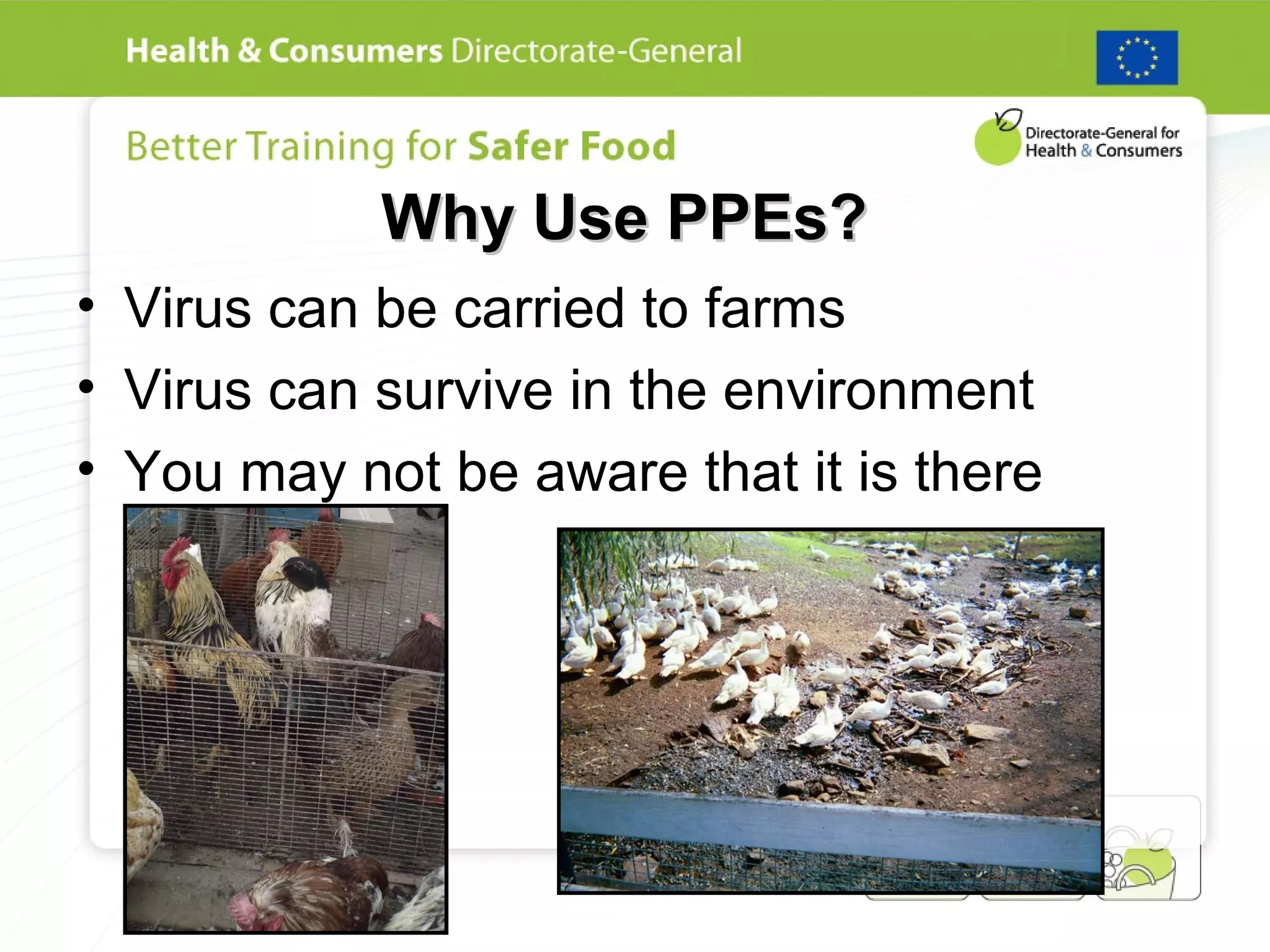 Public health, occupational safety and the use of PPE | PPT