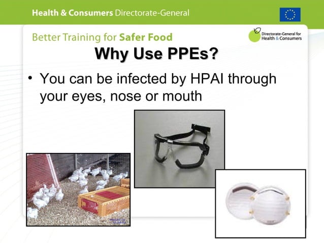 Public health, occupational safety and the use of PPE | PPT ...