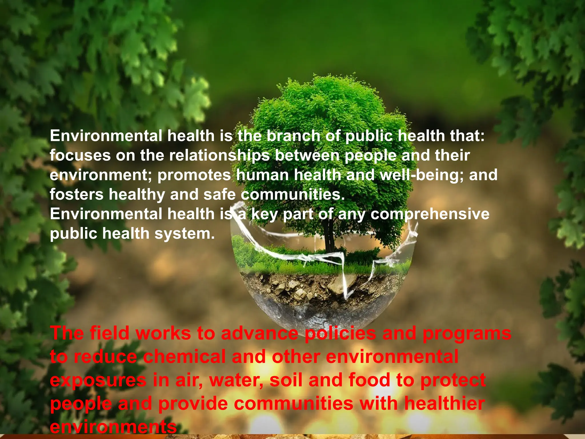 Public health presentation (Environmental Health) | PPTX