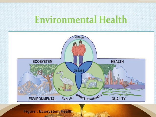 Public health presentation (Environmental Health) | PPT