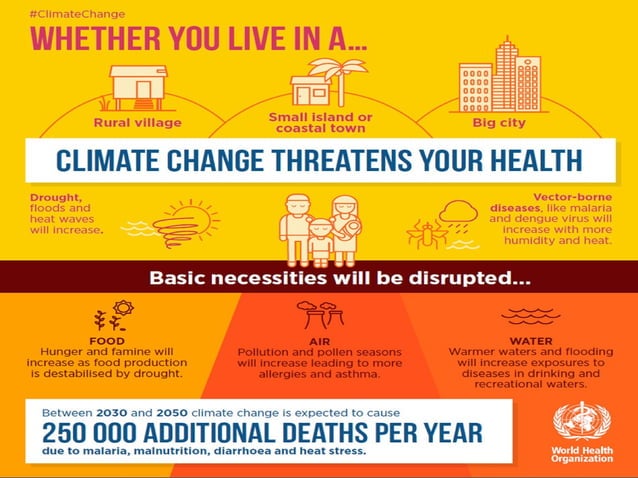 Public health presentation (Environmental Health) | PPTX