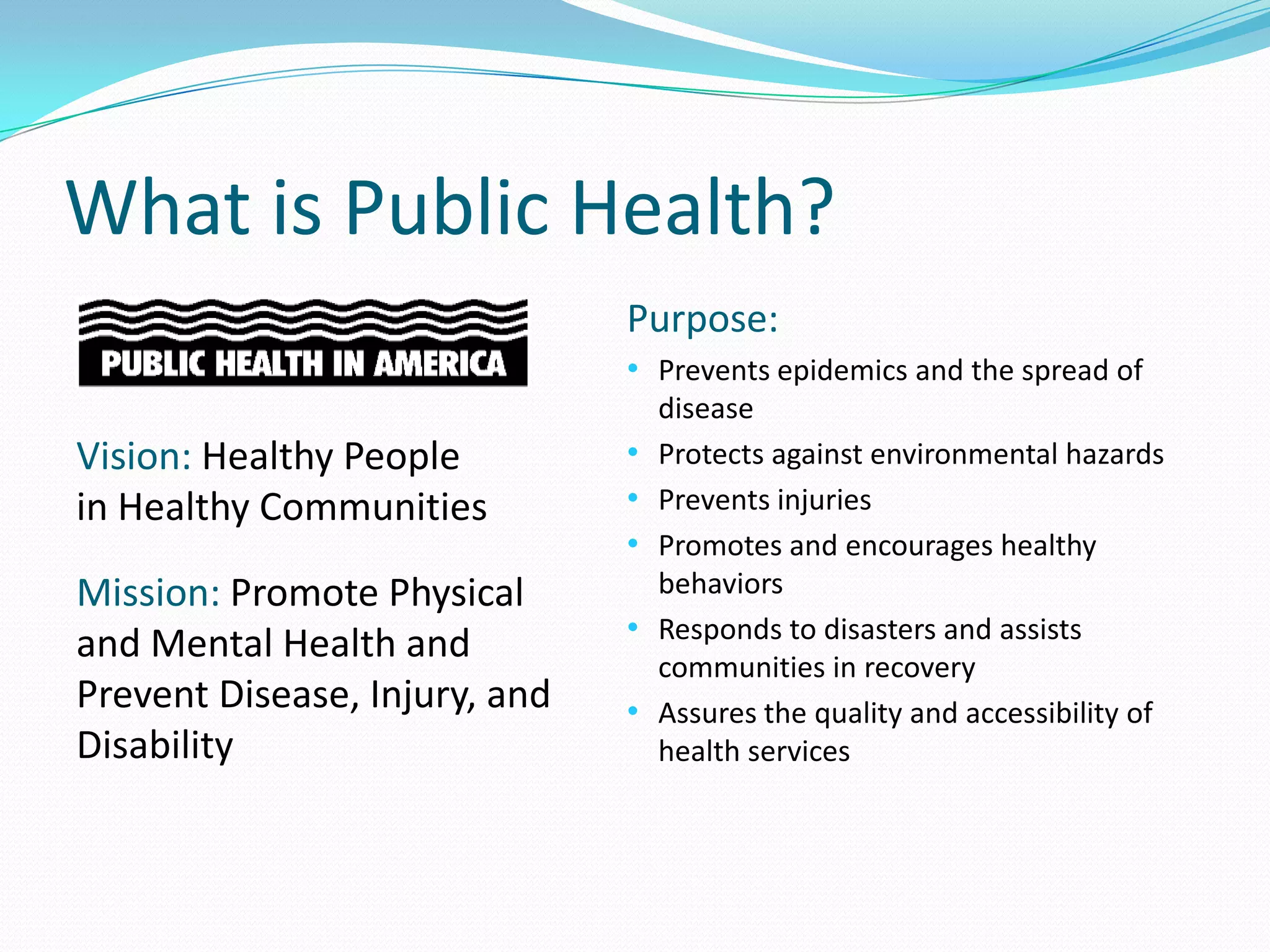 Public health system 2 2-2010 | PPT