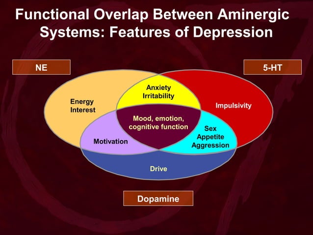 Depression: the brain, the mind, the family and work | PPT