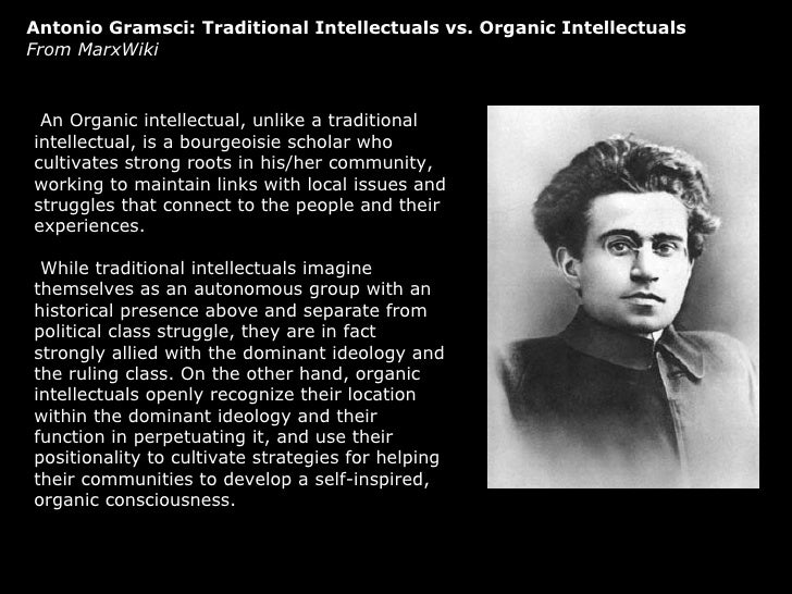 public-intellectualism