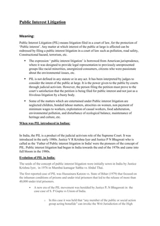 public interest litigation 211047.docx