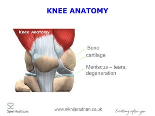 Public knee ppt | PPT