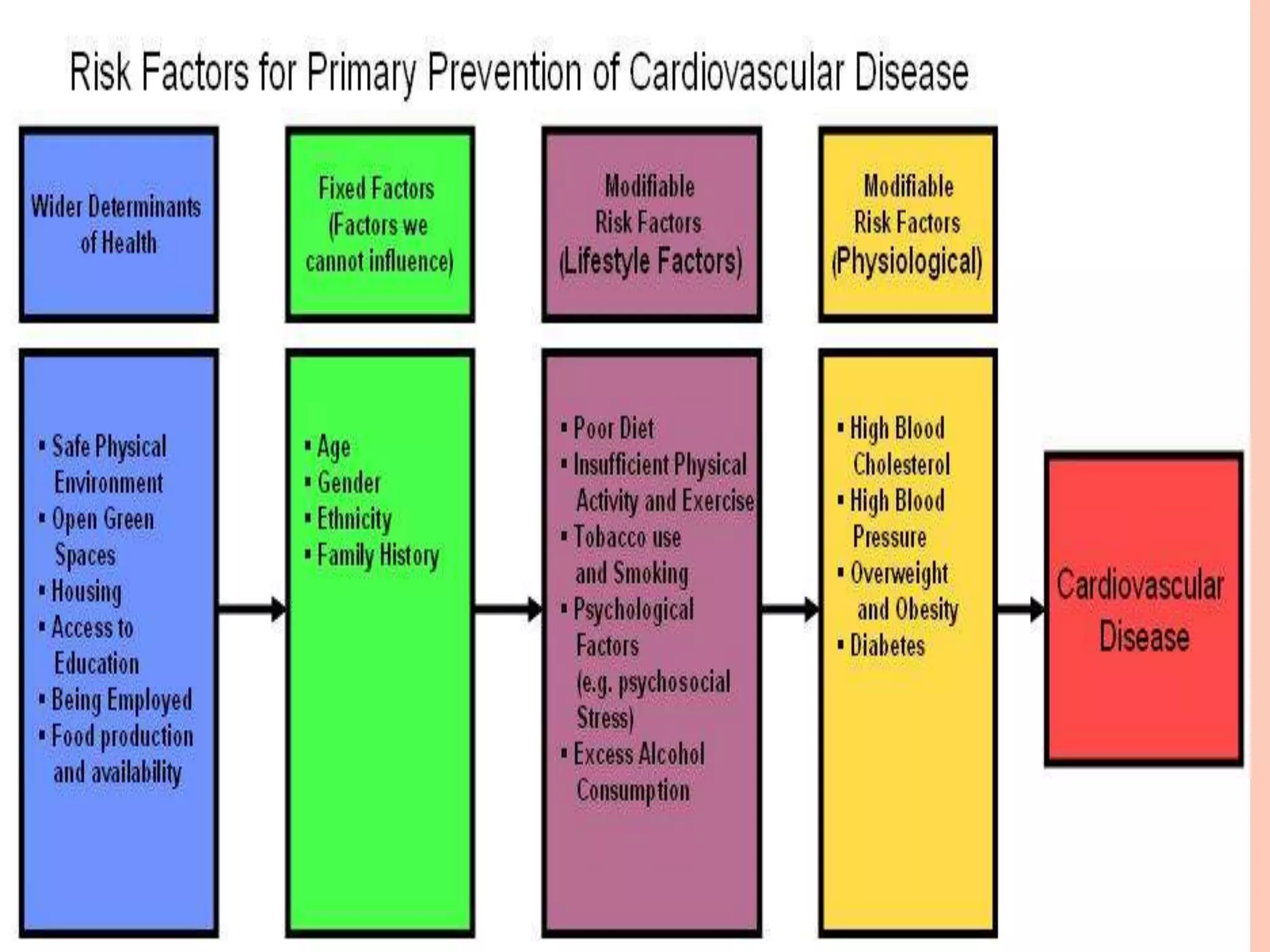 Public knowledge of cardiovascular diseases and its risk | PPTX