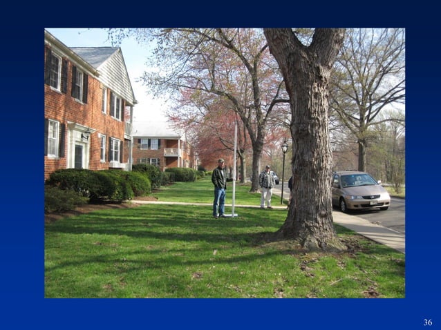 Belle View/New Alexandria/River Towers-Flood Risk Management Status ...